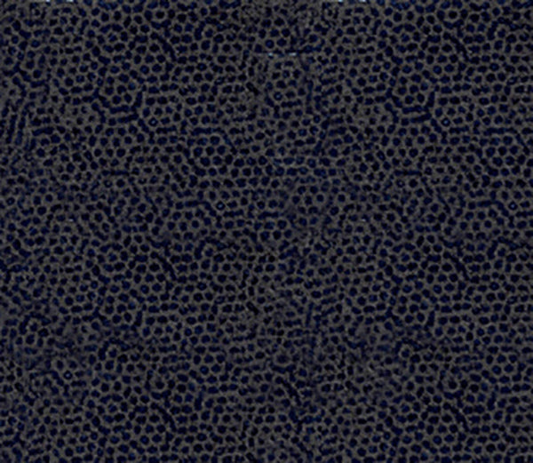 Blender - Andover Dimples K1 (Black-Charcoal) - By the Half Yard ...